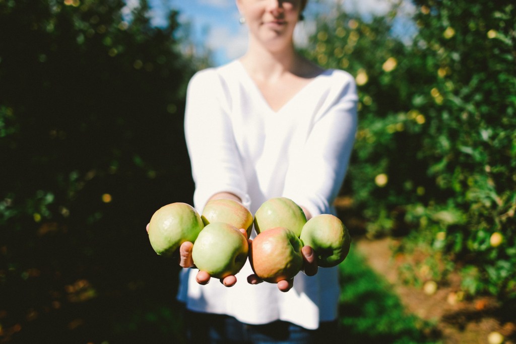 Apples in October. | The Art in Life